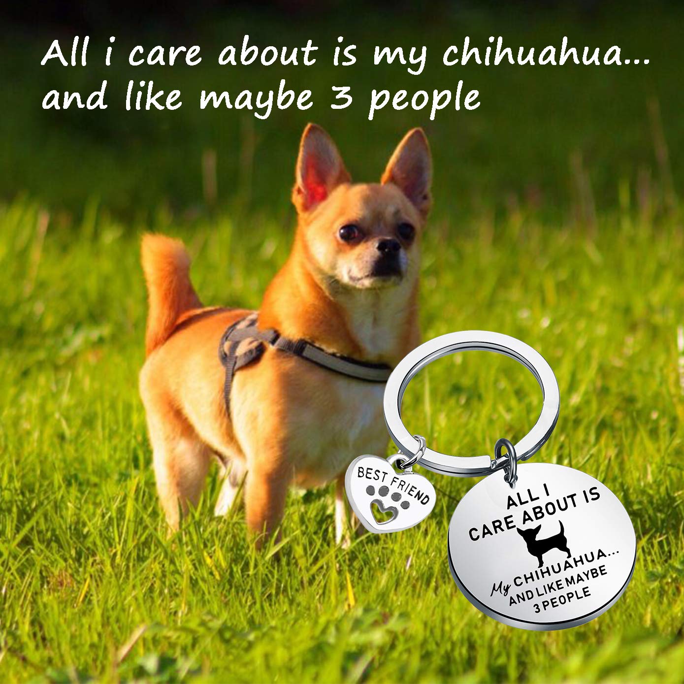 TIIMG Chihuahua Dog Keychain Chihuahua Mom Dad Gift Pet Dog Lover Gift Gift for Chihuahua Love (All care chihuahua)