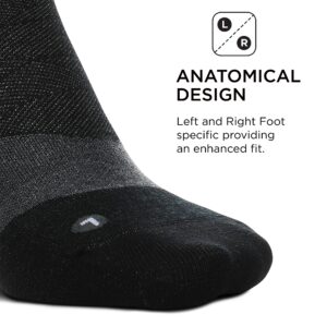 Feetures Merino 10 Cushion Crew Sock Stripe (1 pair) Large, Charcoal