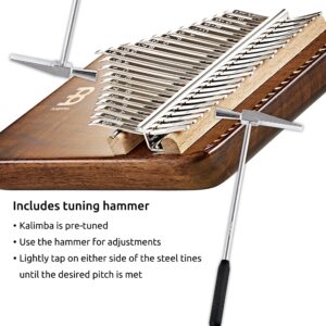 Kalimba Thumb Piano, 21 Keys — Includes Tuning Hammer and Case — For Meditation, ASMR, Sound Therapy and Yoga, 2-YEAR WARRANTY