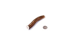 powder hound pet co. elk antler dog chew, great for aggressive chewers, all-natural, premium a/#1 grade elk antlers, naturally shed in usa, cruelty free dog bones, will not splinter (small)