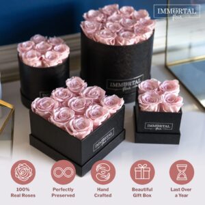 Immortal Fleur Preserved Roses In A Box, Preserved Flowers, Forever Roses Box, Mom Birthday Gifts, Flowers for Delivery Prime Birthday, Valentines Day Flowers for Wife, Pink 4