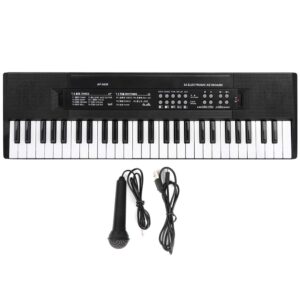 electronic organ, environmentally friendly microphone and recording function 54 key piano keyboard bf-5438 for outdoor indoor use electronic organ