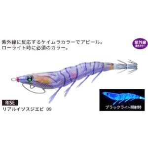 Duel A1773-RISE 09 Egi Squid Fishing Lure, Easy Q Cast Squid Fishing Lure, Squid Fishing Gear, Egi Trap, bigfin Reef Squid, No. 3.5, Real Isosuji Shrimp