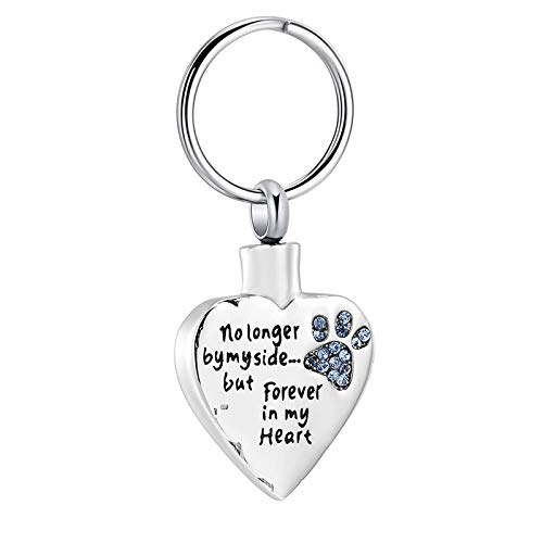 Vjajaly Cremation Jewelry for Ashes No Longer by My Side But Forever in My Heart Stainless Steel Pet Paw Keepsake Pendant Memorial Urn Keychain for Men Women (Blue)