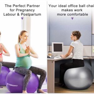 STOROMO Exercise Ball,Yoga Ball(with Exercise Tutorial)，Extra Thick Non-Slip,Holds 2500 lbs, Workout Ball for Pregnancy Birthing and Balance Stability (Purple, 55cm/21.6in)