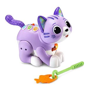 vtech purr and play zippy kitty, purple