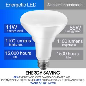 Energetic LED Recessed Light Bulbs BR30, 85W Equivalent, Dimmable, Daylight 5000K, Indoor Flood Lights for Recessed Cans, UL Listed, 6 Pack