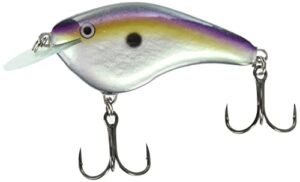 rapala ott's garage slim 06 big shad