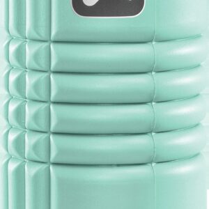 TRIGGERPOINT Unisex's Grid 1.0 Foam Roller, Mint, 1 Size