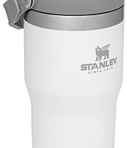 Stanley IceFlow Stainless Steel Tumbler with Straw - Vacuum Insulated Water Bottle for Home, Office or Car - Reusable Cup with Straw Leak Resistant Flip - Cold for 12 Hours or Iced for 2 Days (Polar)