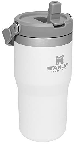 Stanley IceFlow Stainless Steel Tumbler with Straw - Vacuum Insulated Water Bottle for Home, Office or Car - Reusable Cup with Straw Leak Resistant Flip - Cold for 12 Hours or Iced for 2 Days (Polar)