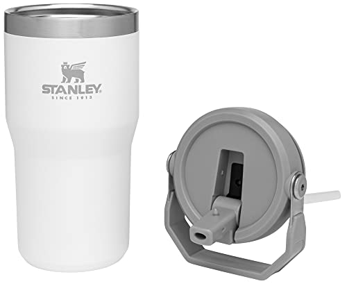 Stanley IceFlow Stainless Steel Tumbler with Straw - Vacuum Insulated Water Bottle for Home, Office or Car - Reusable Cup with Straw Leak Resistant Flip - Cold for 12 Hours or Iced for 2 Days (Polar)