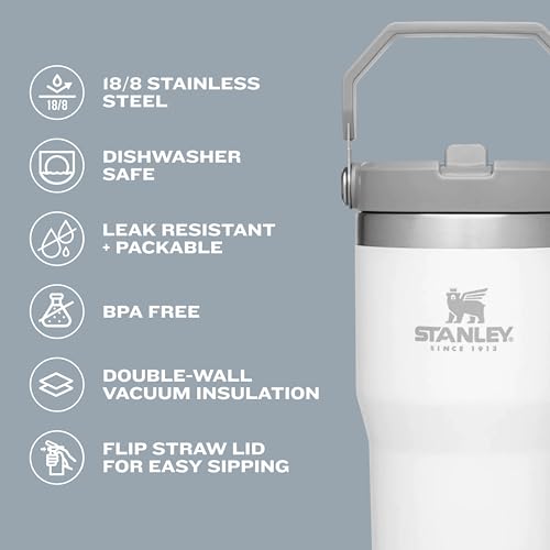 Stanley IceFlow Stainless Steel Tumbler with Straw - Vacuum Insulated Water Bottle for Home, Office or Car - Reusable Cup with Straw Leak Resistant Flip - Cold for 12 Hours or Iced for 2 Days (Polar)