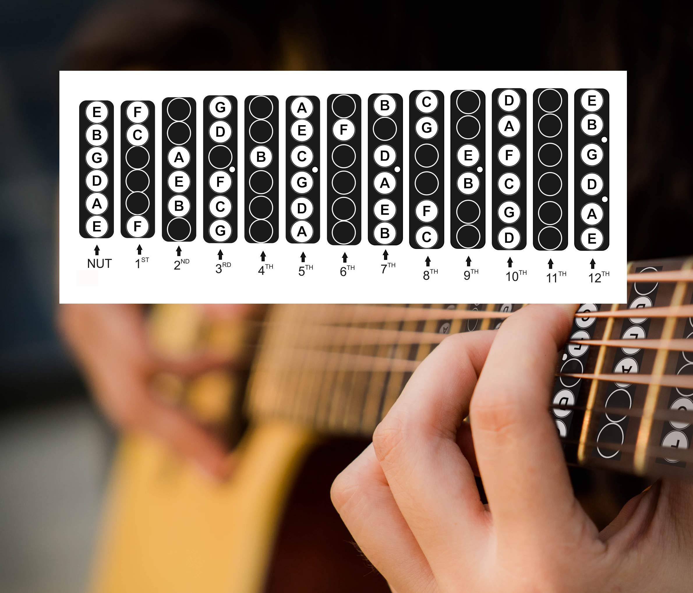 Guitar Fretboard Stickers Vinyl Fingerboard Decals Frets Map Neck Notes Trainer for Beginner Learner Practice Music Theory 6 Strings Acoustic Electric Guitars (Black and White)