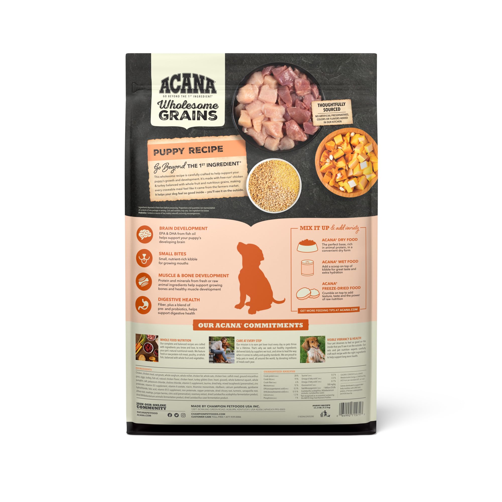 ACANA Wholesome Grains Dry Dog Food, Puppy Recipe, Real Chicken, Eggs and Turkey Dog Food Recipe, 11.5lb