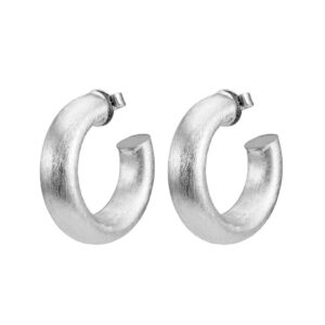 sheila fajl thick small chantal hoop earrings in brushed silver plated