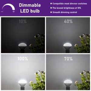 Maelsrlg E17 R14 LED Bulb, 4W (40W Equivalent) Mini Reflector Floodlight Light Bulb, E17 Intermediate Base, Daylight White 5000K, 400 Lumens, Dimmable, Pack of 6