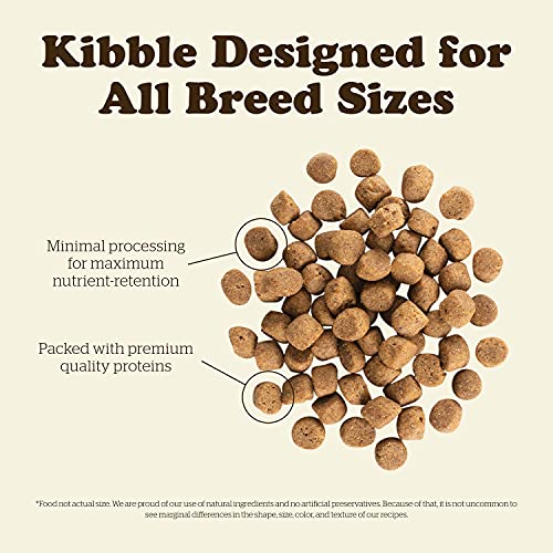 Now Fresh Dry Dog Food, Turkey, Salmon and Duck Recipe, 22 lbs - Grain Free Dog Food, Made with Real Meat and Fish for Small, Medium, and Large Breed Adults