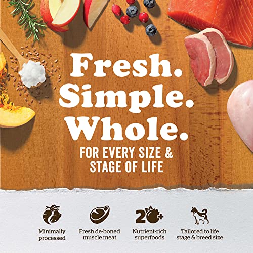 Now Fresh Dry Dog Food, Turkey, Salmon and Duck Recipe, 22 lbs - Grain Free Dog Food, Made with Real Meat and Fish for Small, Medium, and Large Breed Adults