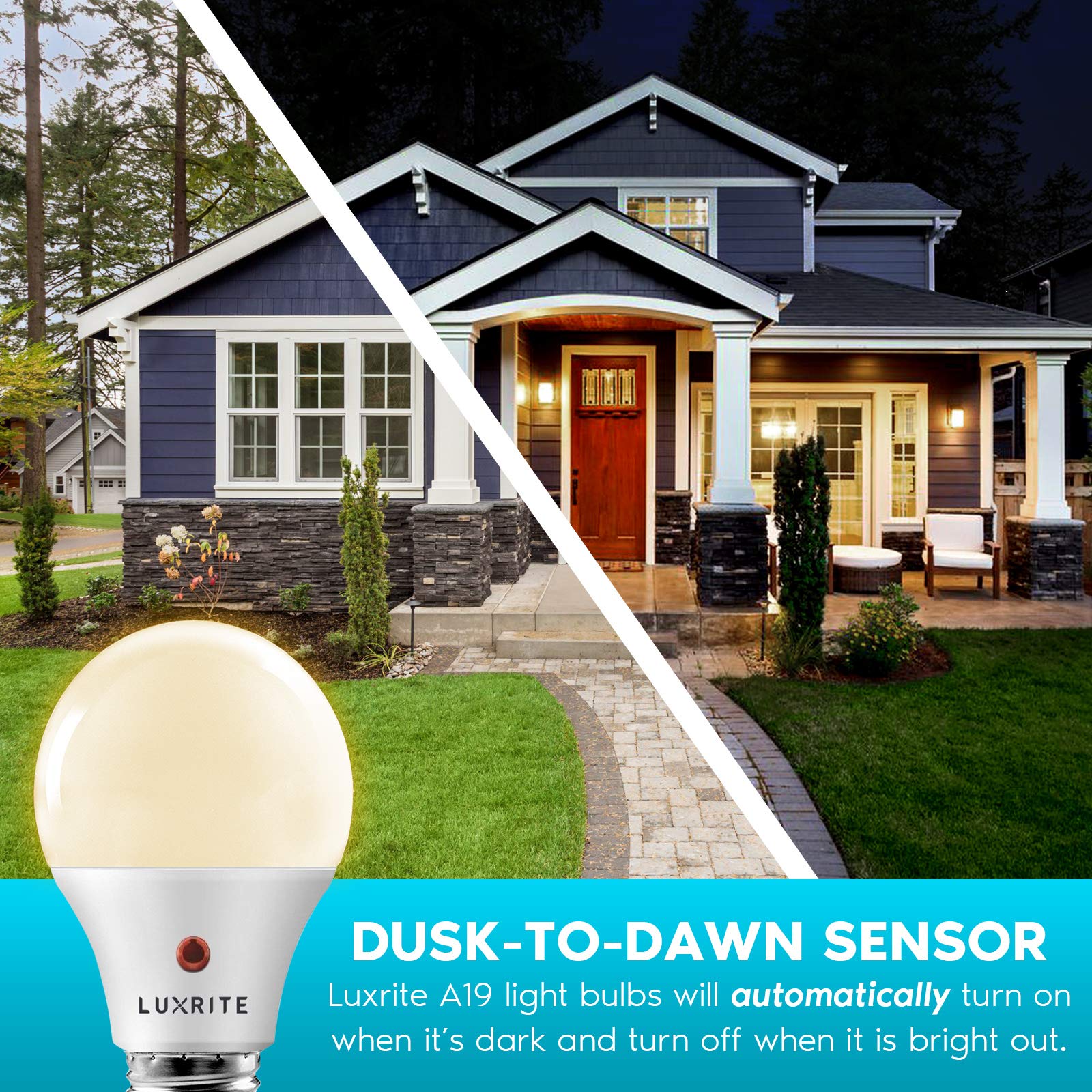 LUXRITE A19 LED Dusk to Dawn Light Bulbs Outdoor Lighting, 60 Watt Equivalent, Enclosed Fixture Rated, Automatic On Off Sensor, 3000K Soft White, 800 Lumens, Damp Rated, E26 Base (2 Pack)