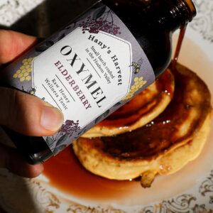 Hany’s Harvest Elderberry Oxymel Syrup, 8 oz Glass Bottle, All Natural Apple Cider Vinegar + Raw Honey Wellness Tonic, Gluten-Free, Small-Batch, Handcrafted