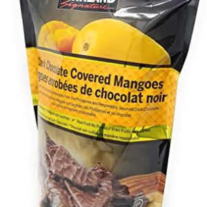 Kirkland Dark Chocolate Covered Mangoes 20.46 oz