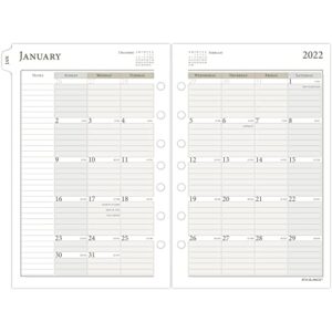 AT-A-GLANCE 2022 Daily Planner Refill by AT-A-GLANCE, 12010 Day-Timer, 5-1/2" x 8-1/2", Size 4, Desk Size, One Page per Day, Loose-Leaf (481-125)