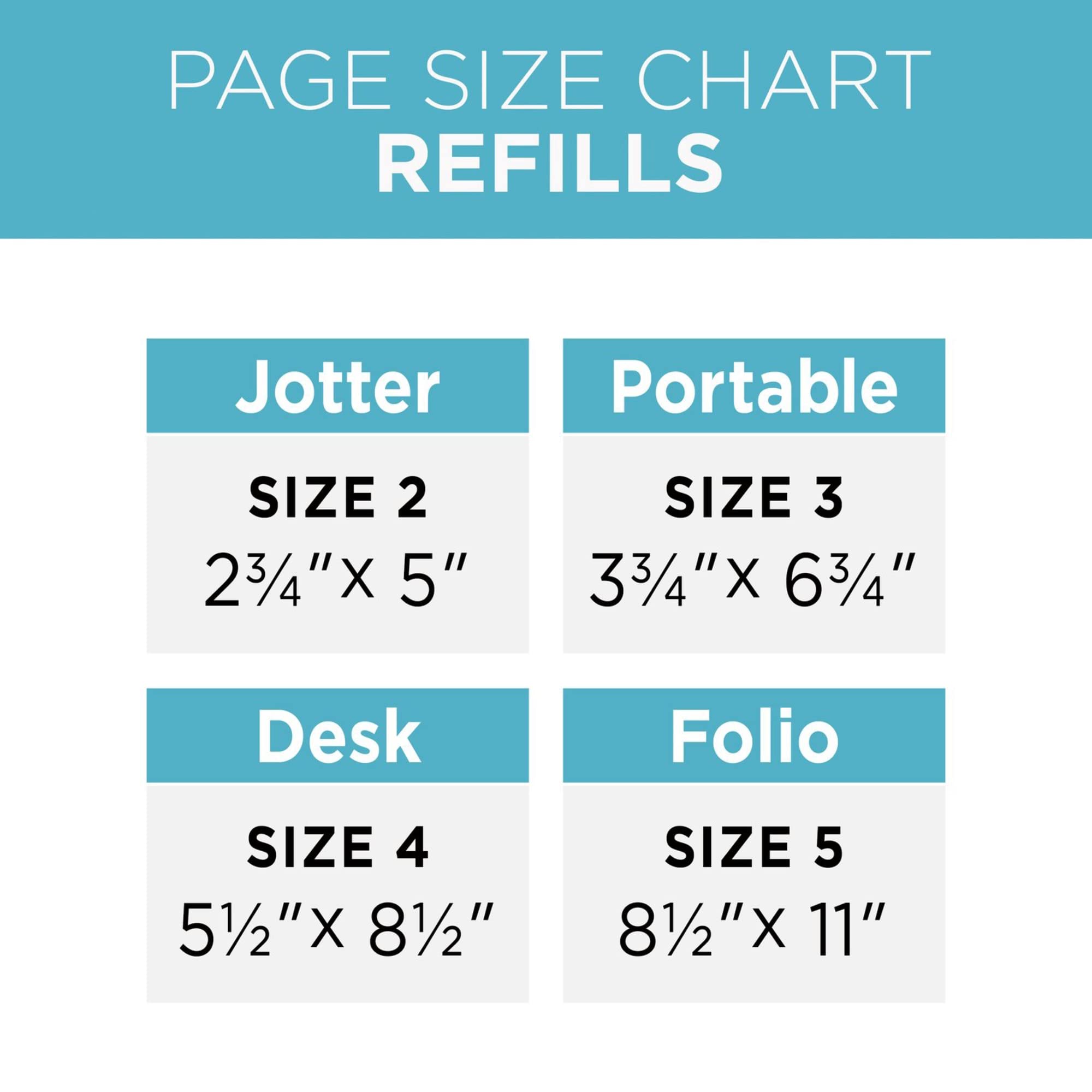 2022 Weekly & Monthly Planner Refill by AT-A-GLANCE, 91010 DAY-TIMER, 5-1/2" x 8-1/2", Size 4, Desk Size, Loose-Leaf (481-285Y)