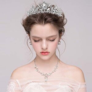 Didder Silver Tiaras for Women Bridal Tiara, Crystal Tiaras and Crowns for Women Princess Tiaras for Girls Birthday Crown for Prom Wedding Party Halloween Costume Hair Accessories Christmas Gift