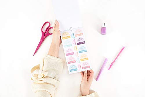 The Happy Planner Sticker Value Pack - Planner Accessories - Save Now Spend Later Theme - Multi-Color - Great for Budgeting & Organizing - 30 Sheets, 1170 Stickers