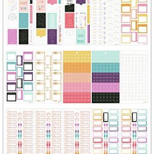 The Happy Planner Sticker Value Pack - Planner Accessories - Save Now Spend Later Theme - Multi-Color - Great for Budgeting & Organizing - 30 Sheets, 1170 Stickers