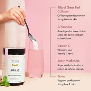 Winged Glow Up Collagen Powder | Better Hair, Skin, Nails for Women | Grass Fed Collagen Peptides w/Adaptogen Schisandra, Snow Mushroom, Vitamin C & Biotin | Unflavored (25 Servings), NON GMO