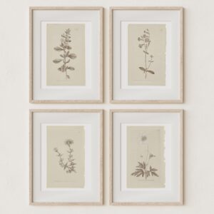 wall art botanical plant prints | vintage flower boho minimalist floral artwork neutral decor for bedroom, living room, bathroom, home or office walls | set of 4 unframed pictures | overall size (11 x