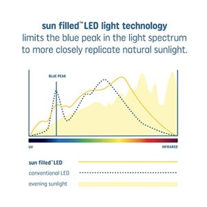 GE Sun Filled LED Light Bulb, 60 Watt, Soft White, A21 (1 Pack)