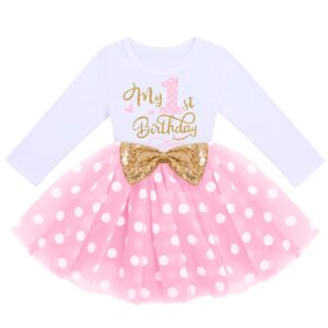 winter birthday outfit girl my first birthday mini dress up cake smash outfit baby tulle tutu skirt autumn long sleeve mouse 1st birthday party supplies 1 year old photo props polka dots dresses pink