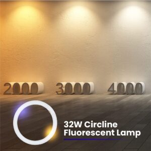 lumenivo FC12T9 32W Light Bulb Replacement 12 Inch, T9 Circline Fluorescent Bulb - 4-Pin G10Q-4 Base - Great for Ceiling Fixtures, Garage Lights and Many Applications - 3000K Warm White - 1 Pack