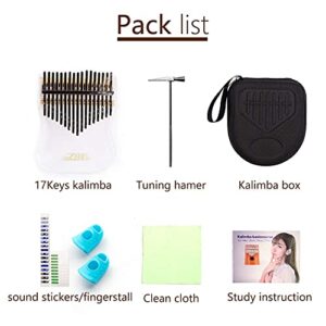 GECKO ZBH Acrylic Kalimba Clear Thumb Piano 17 Key Transparent Finger Piano Musical Instruments Gift for Kids Adults Beginners Portable Mbira Sanza with Bag Tuning Hammer & Study Instruction