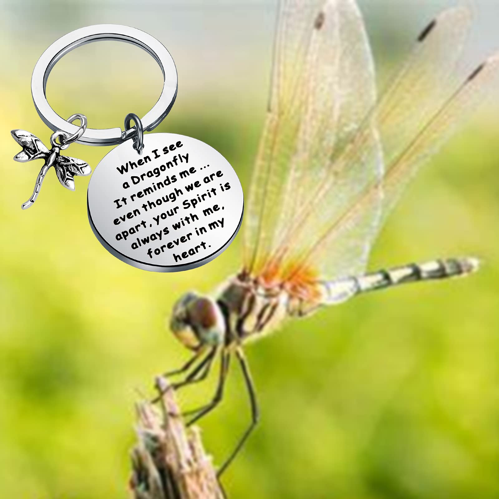 PENQI Dragonfly Jewelry Dragonfly Memorial Gift When I See a Dragonfly It Reminds Me Your Spirit Is Always With Me Keychain Loss of Loved One Gift (Dragonfly Keychain)