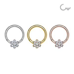 Pierced Owl 16-18GA G23 Implant Grade Titanium CZ Crystal Flower Cartilage Helix Daith Septum Nose Hinged Segment Ring (Silver Tone, 16GA / 8mm)