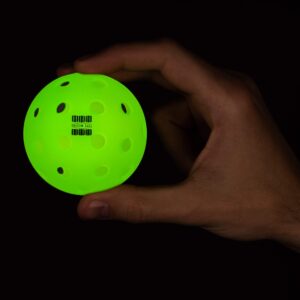 Shadow Ball Glow in The Dark Pickleballs, 4 Pack Pickleballs, Pickleball Outdoor Balls, USAPA Standard Pickle Balls, Charging Flashlight Included