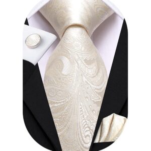 Hi-Tie Silk Ties for Men Plaid Paisley Striped Necktie Pocket Square Cufflinks Set Formal Business,Lvory