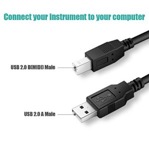 Ancable 3-Feet USB B Midi Controller Cable Cord for Audio Interface, Piano, Midi Keyboard, Midi Controller, Mixer, Speaker, Instrument, USB Microphone, USB A to B Cable