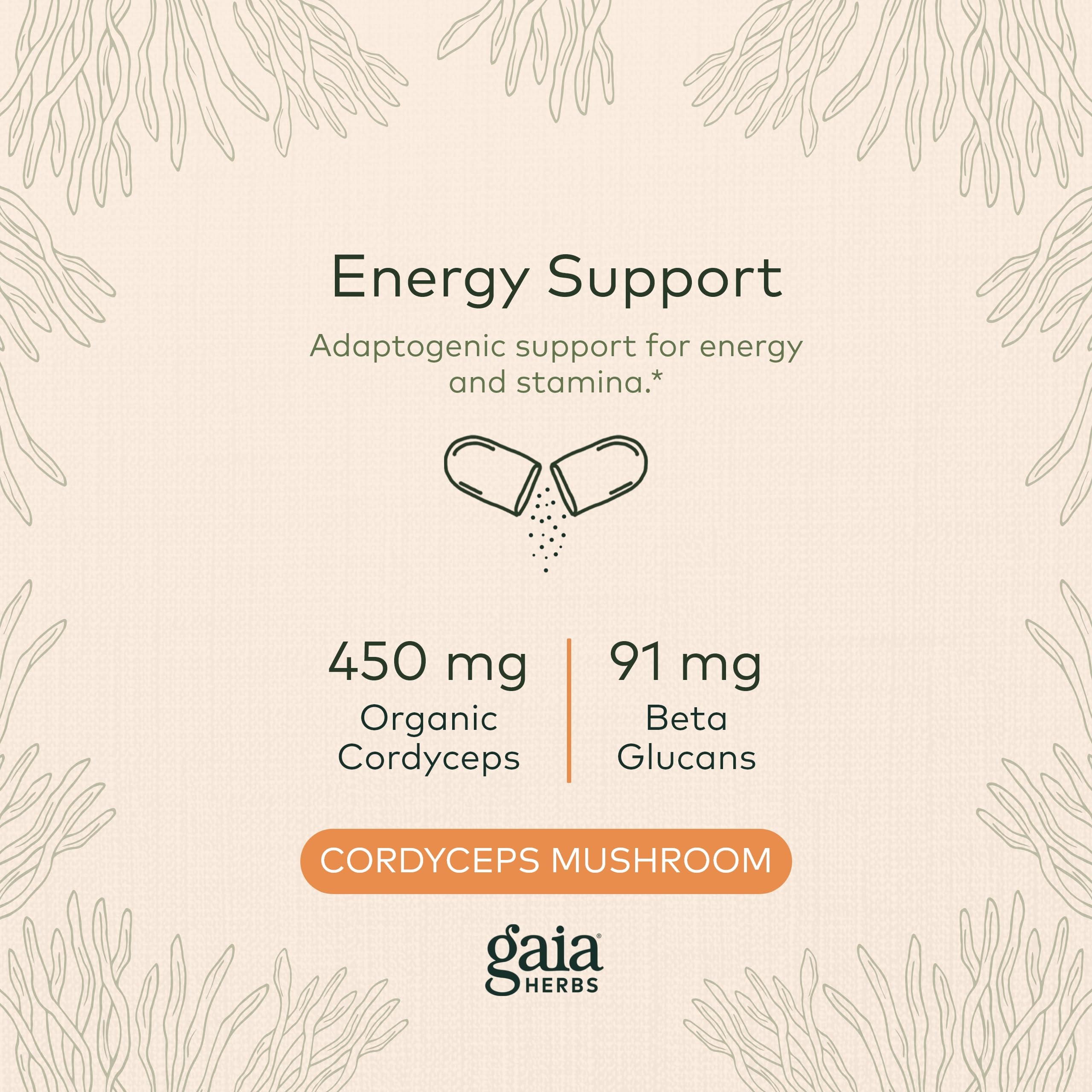 Gaia Herbs Cordyceps Mushroom - Energy Support Supplement for Sustaining Energy, Endurance, and Stamina - with Organic Cordyceps Mushroom - 40 Vegan Liquid Phyto-Capsules (40-Day Supply)