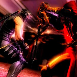 NINJA GAIDEN:マスターコレクション 【CEROレーティング「Z」】 (初回生産限定特典(特製リバーシブルジャケット仕様) 同梱)