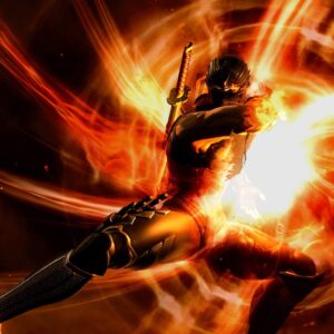 NINJA GAIDEN:マスターコレクション 【CEROレーティング「Z」】 (初回生産限定特典(特製リバーシブルジャケット仕様) 同梱)