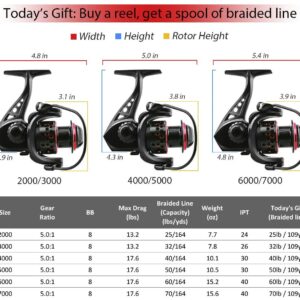 Dorisea Fishing Reel 7+1 Stainless Steel BB Ultra Smooth Aluminum Spinning Fishing Reel,Lightweight Spinning Reel for Freshwater Saltwater Fishing, Come with 109 yds Braided Line (CF4000)