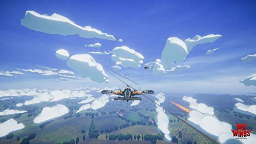 Red Wings: Aces Of The Sky - Baron Edition (PS4)