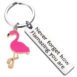 nakumicha flamingo gifts for women，motivational flamingo keychain never forget how flamazing you are, bff gifts for women, key organizer flamingo lover bff animal lovers gift for women girls,red