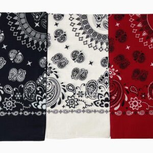 Vamqor 3pcs Bandana for women and men 100% Cotton Custom Fashion Paisley Design Multifunctional Outdoor Square Handkerchief（1 pack assorted）