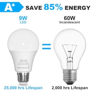 ORALUCE LED Light Bulb, A19 9W Lightbulbs, 60 Watt Equivalent, 120V 900LM, 6500K Cool White, E26 Medium Base, Non Dimmable, Energy Efficient, UL Listed, 6 Pack